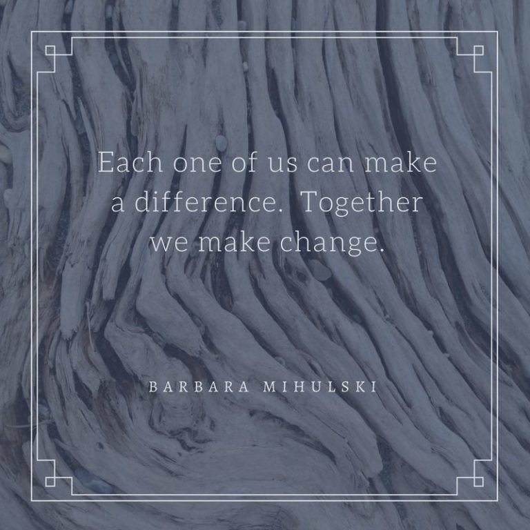 If we come together, we can make change - Enviroschools Marlborough