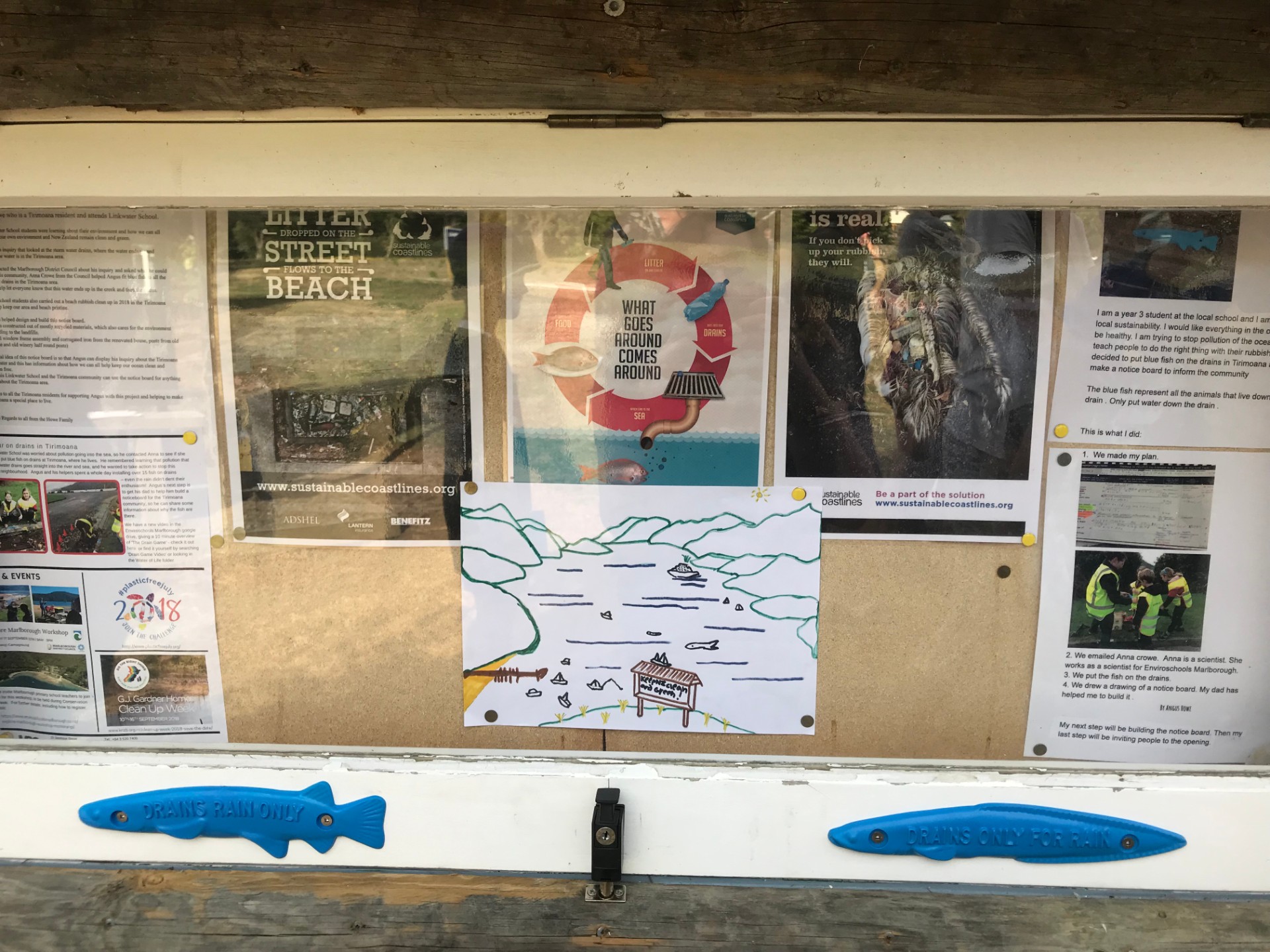 A new noticeboard at Tirimoana - Enviroschools Marlborough