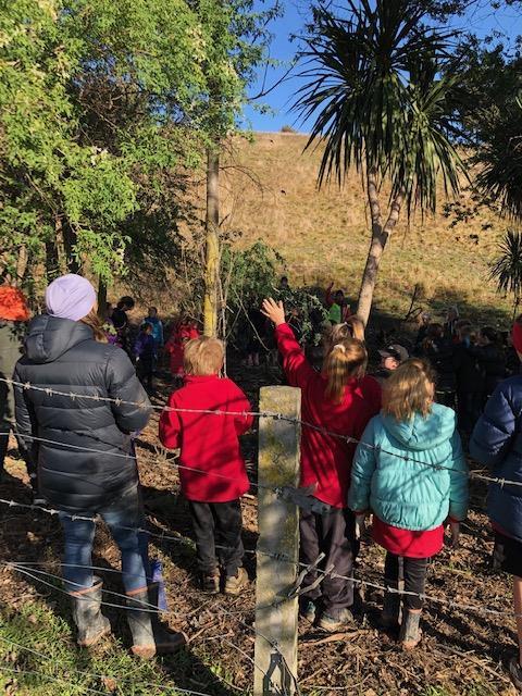 Matariki Planting Project - Enviroschools Marlborough