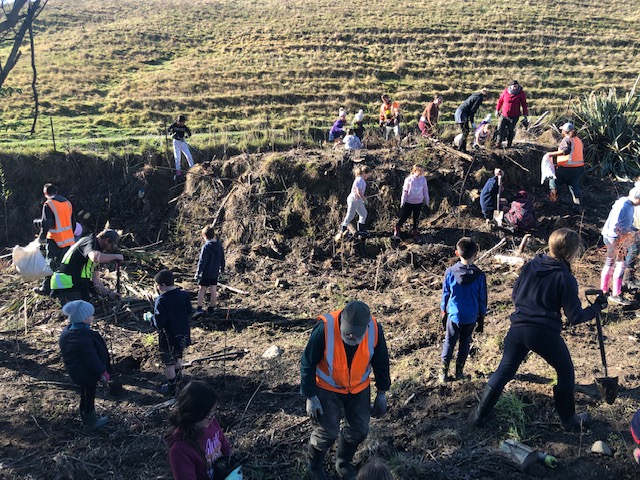 Matariki Planting Project - Enviroschools Marlborough