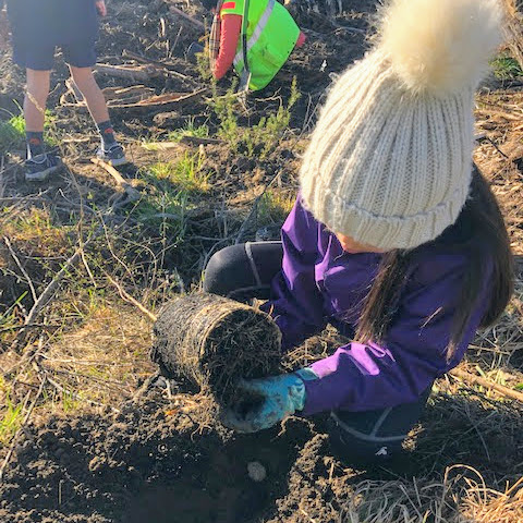 Matariki Planting Project - Enviroschools Marlborough