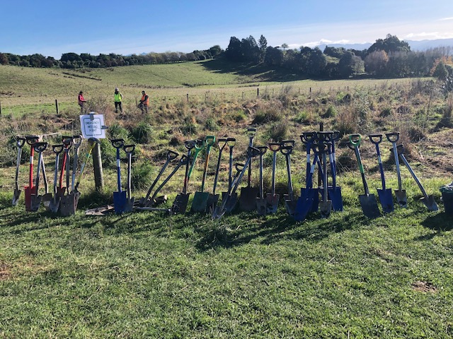 Matariki Planting Project - Enviroschools Marlborough