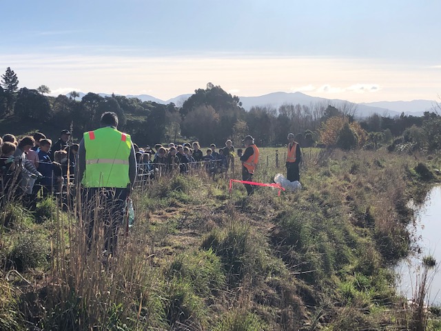 Matariki Planting Project - Enviroschools Marlborough