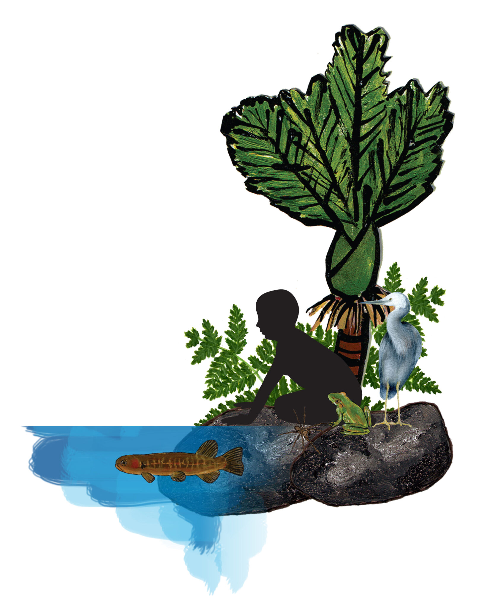 Exploring the Health of the Awa: Water is Life - Enviroschools Marlborough